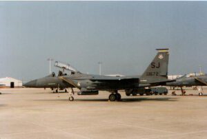 336 Fighter Squadron – Eagle Country