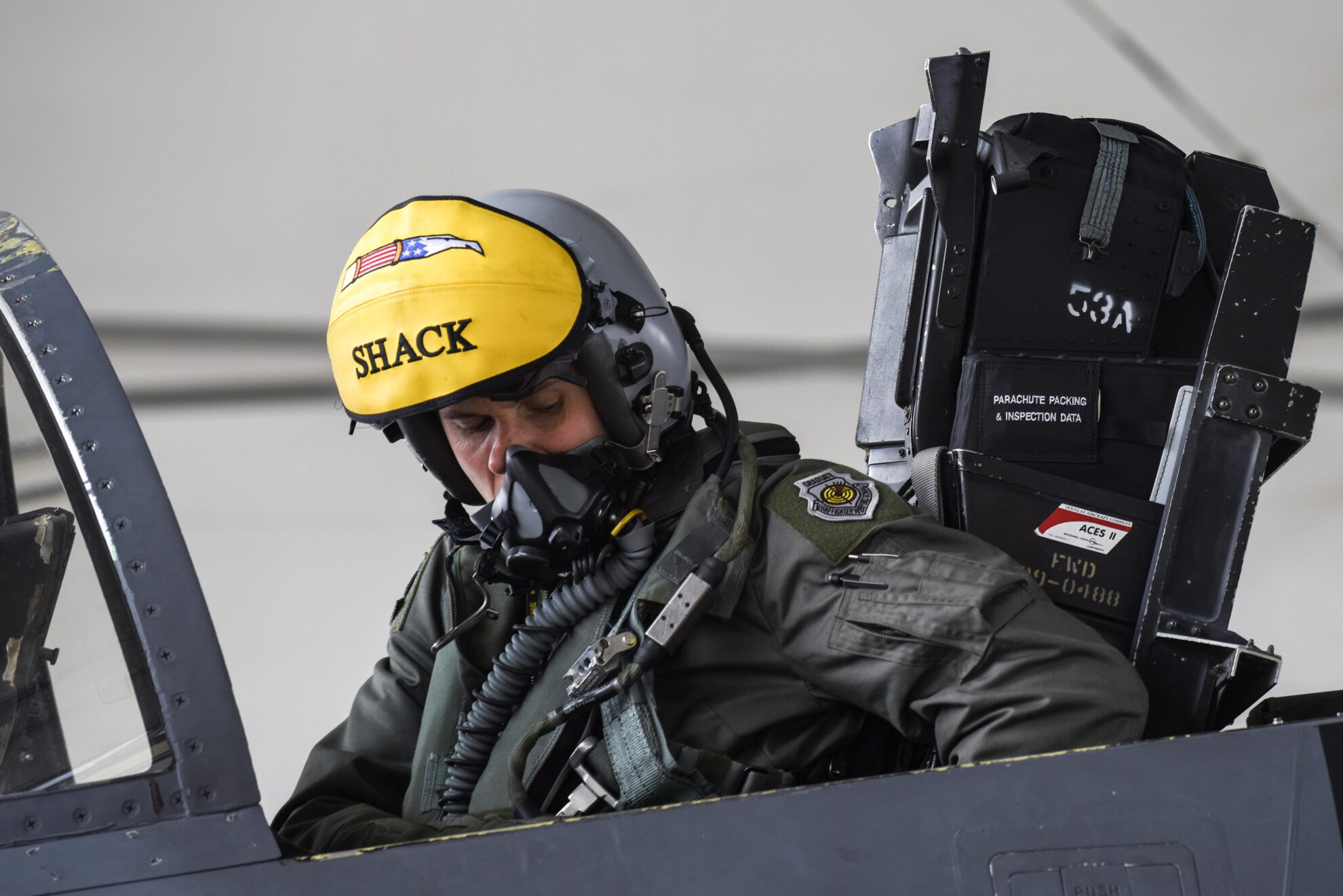 336 Fighter Squadron – Eagle Country