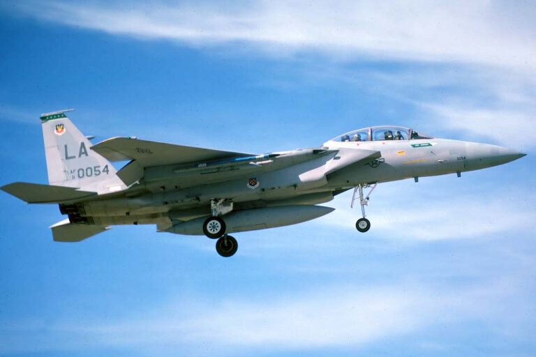 555 Fighter Squadron – Eagle Country