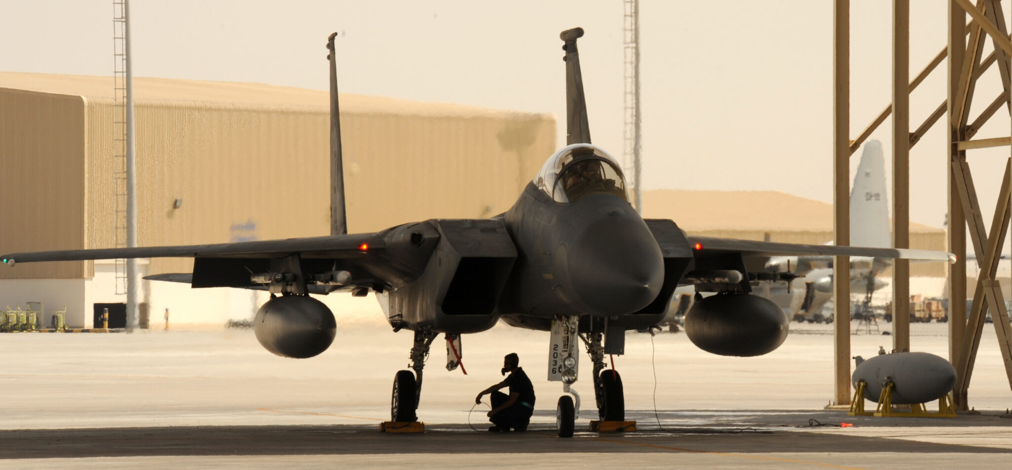 44 Fighter Squadron – Eagle Country