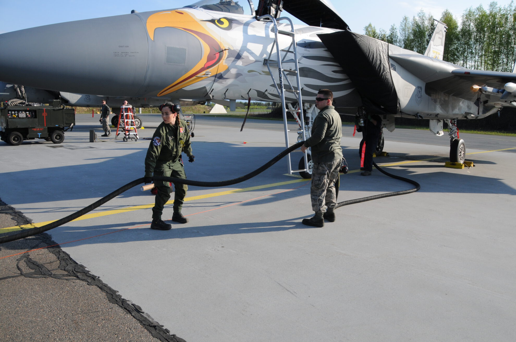114 Fighter Squadron – Eagle Country