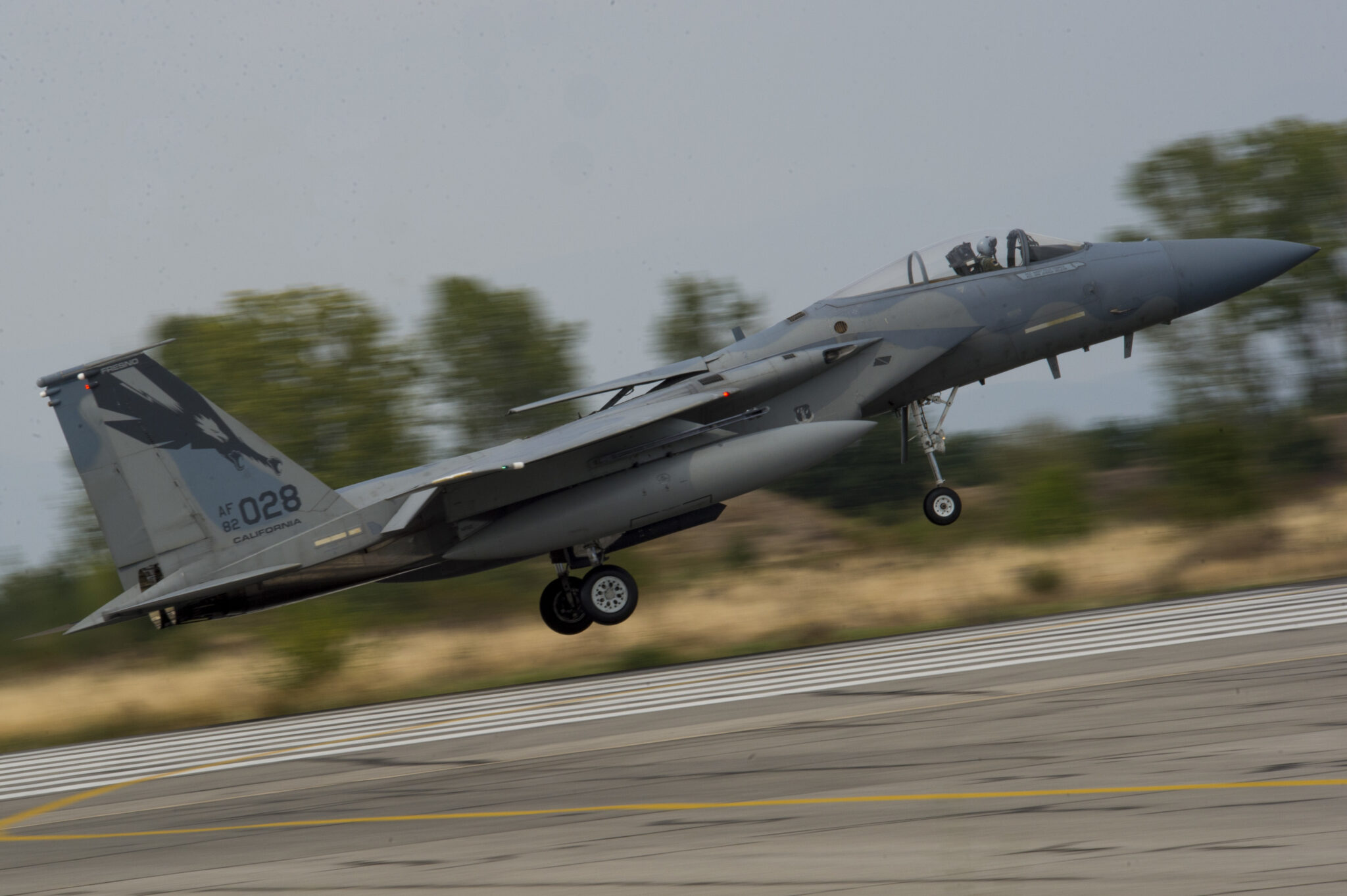 194 Fighter Squadron – Eagle Country