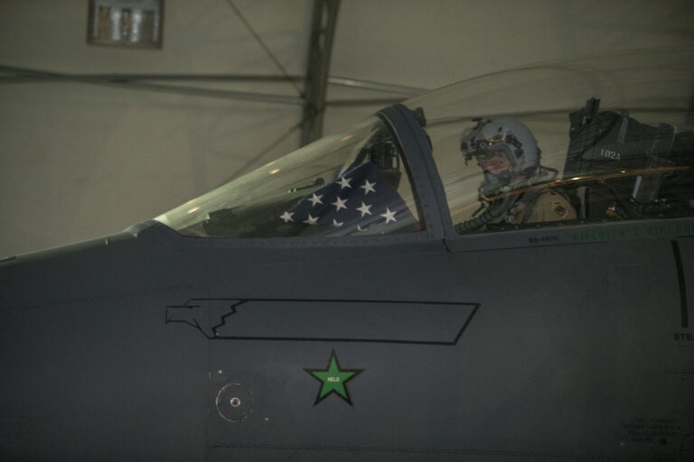 335 Fighter Squadron – Eagle Country