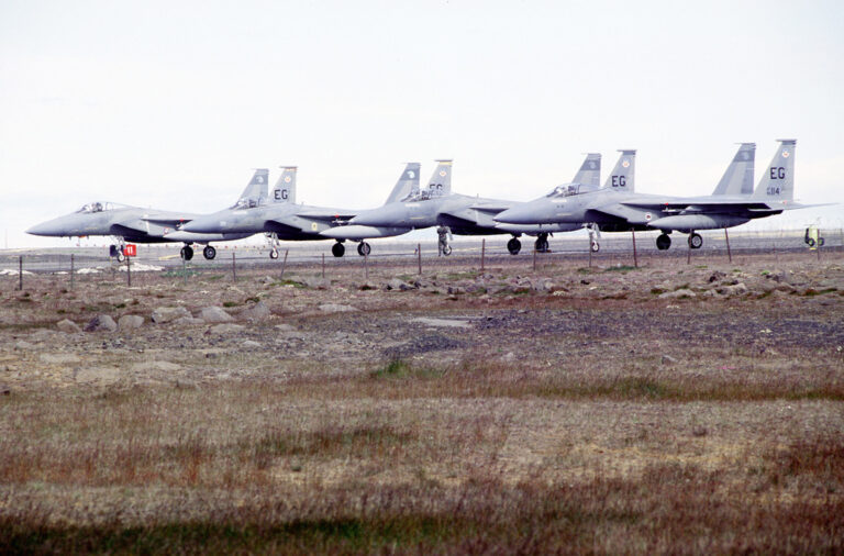 58 Fighter Squadron – Eagle Country