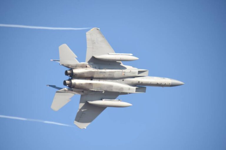 194 Fighter Squadron – Eagle Country