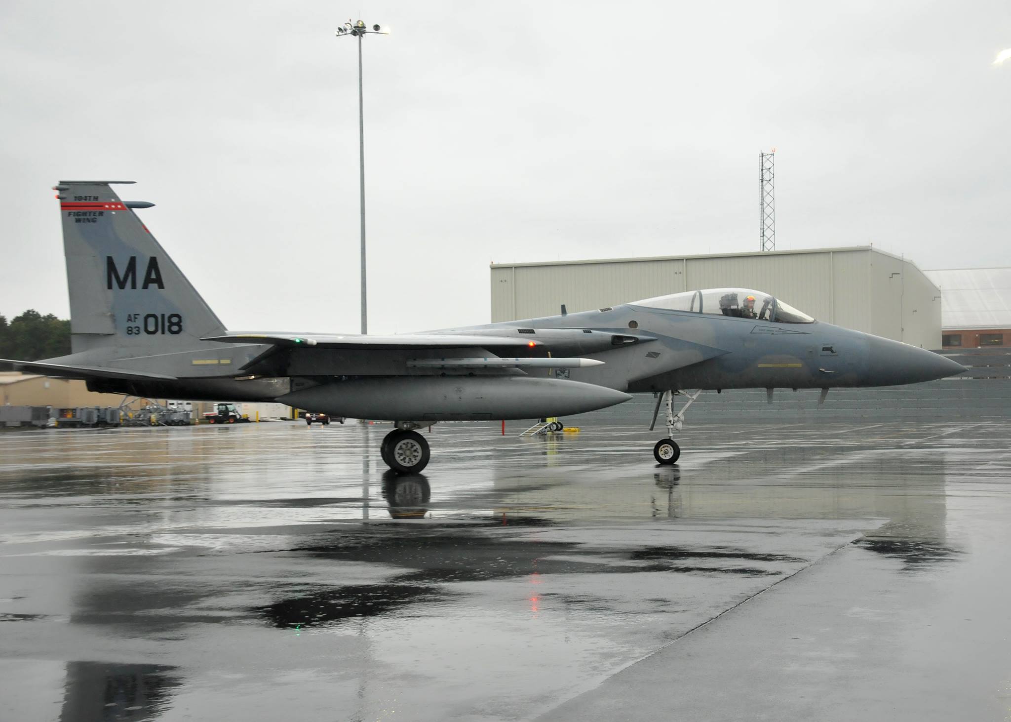 131 Fighter Squadron – Eagle Country