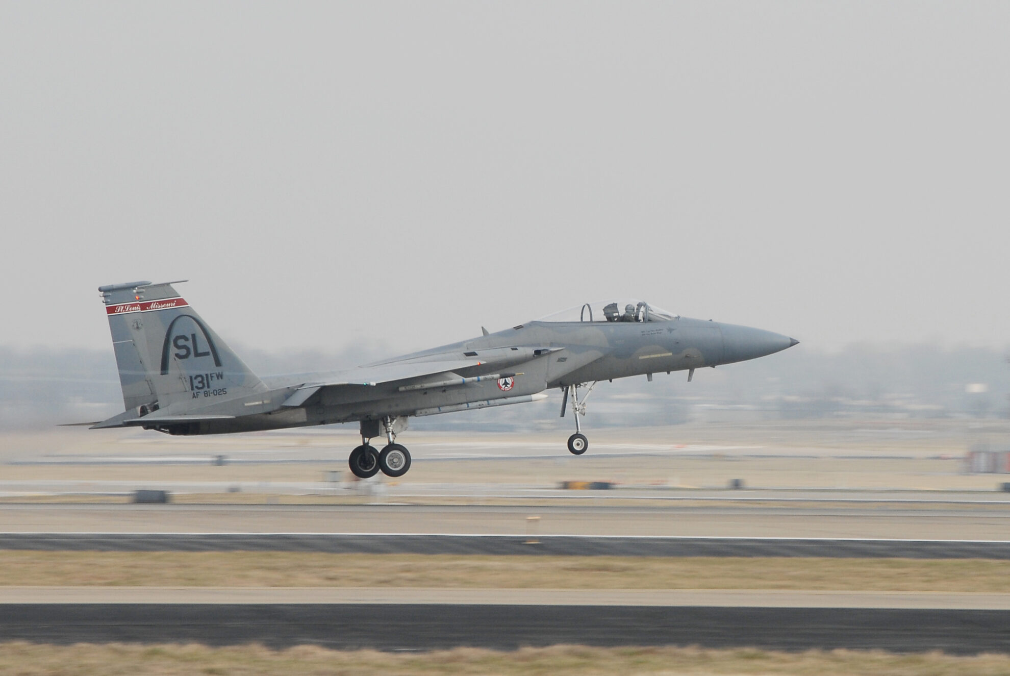 110 Fighter Squadron – Eagle Country