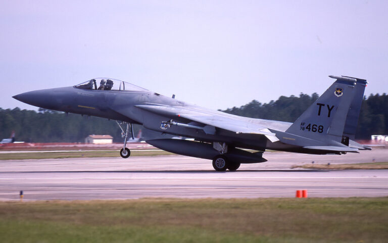 95 Fighter Squadron – Eagle Country