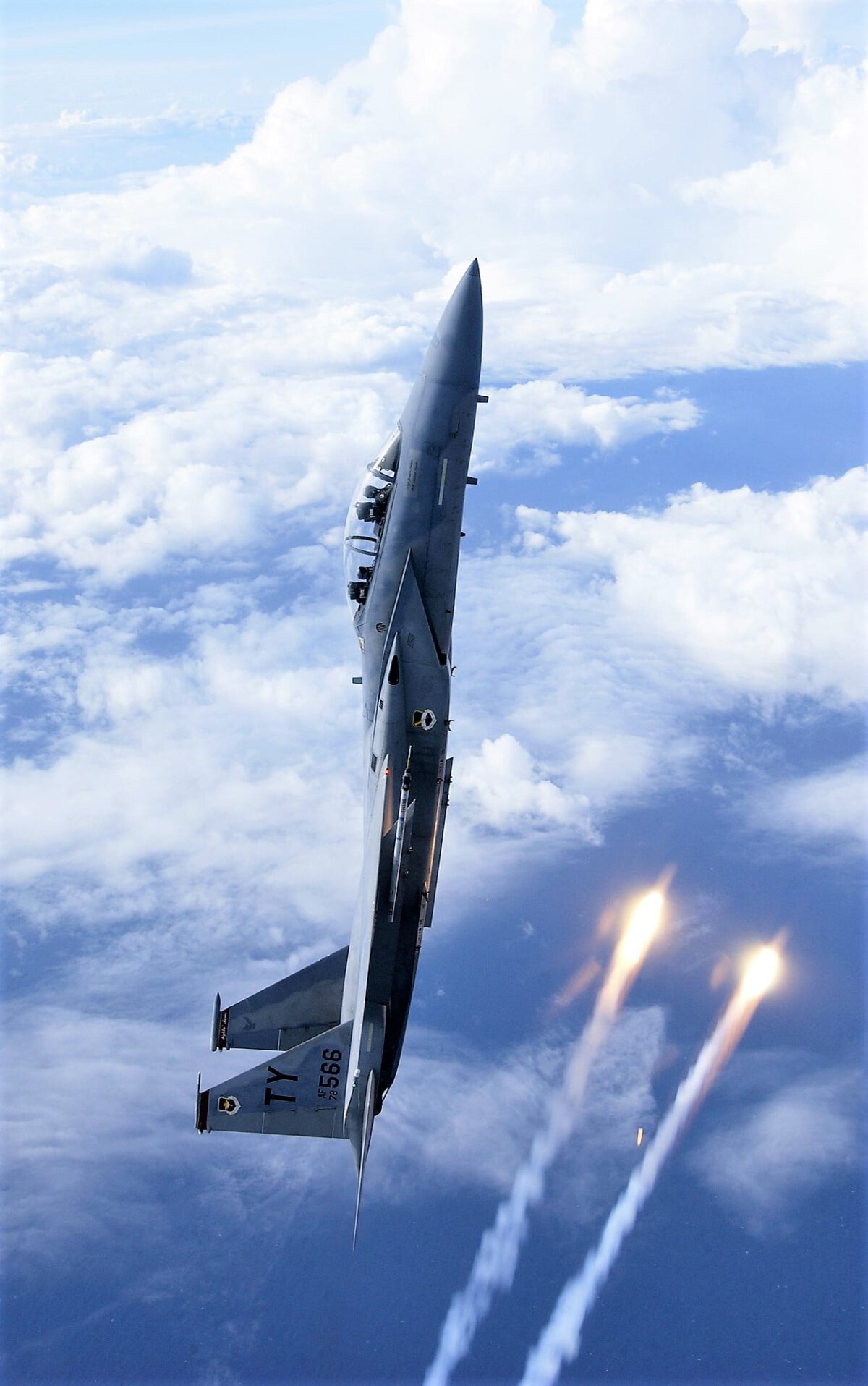 1 Fighter Squadron – Eagle Country